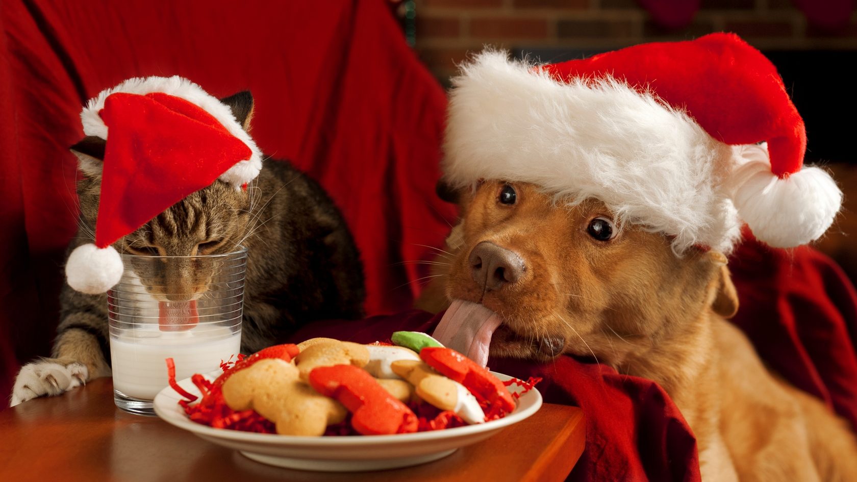 Новый Год - 160 фото. Новогодние картинки с праздничной атмосферой!